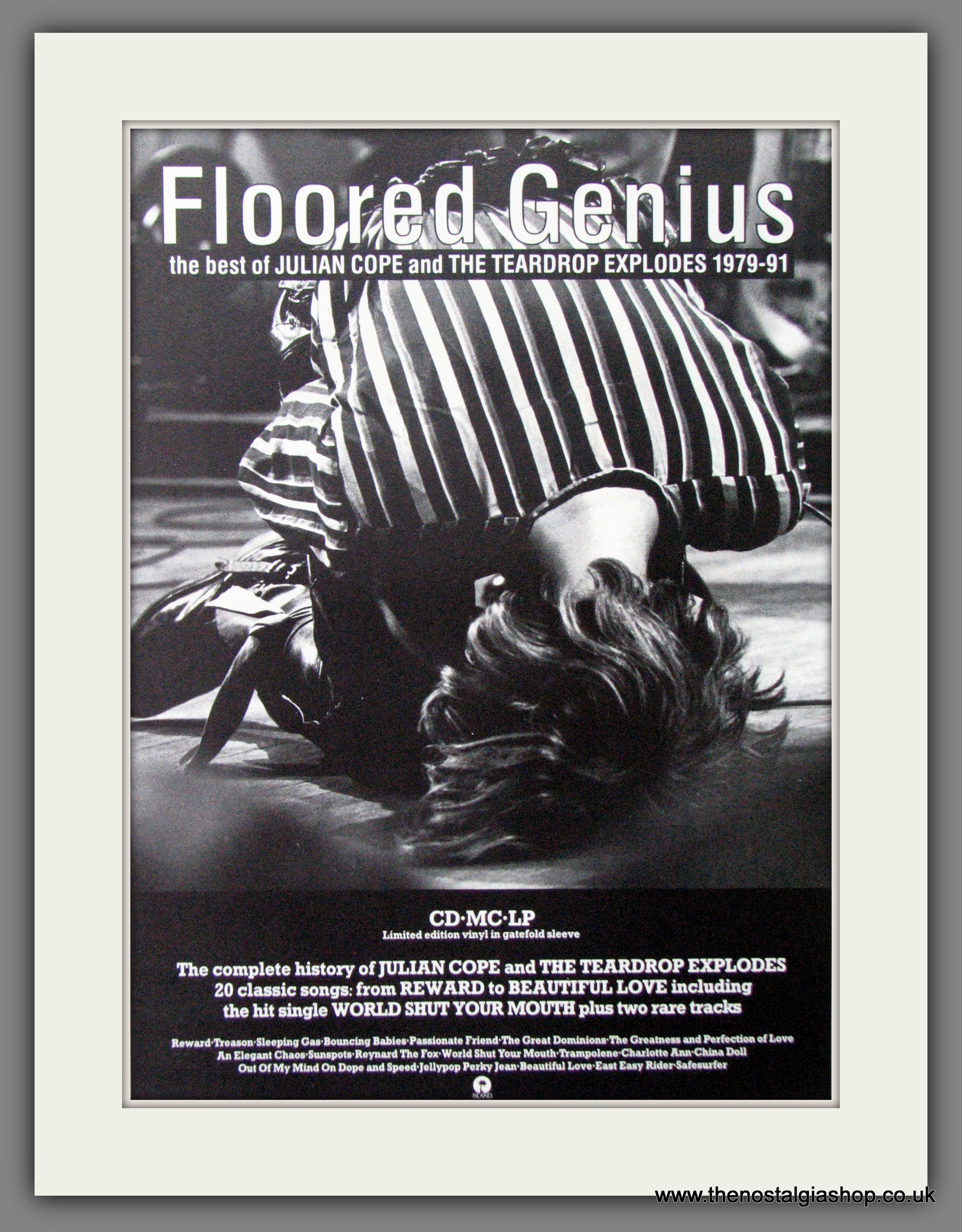 The Teardrop Explodes And Julian Cope, Floored Genius. Large 1992 Orig ...