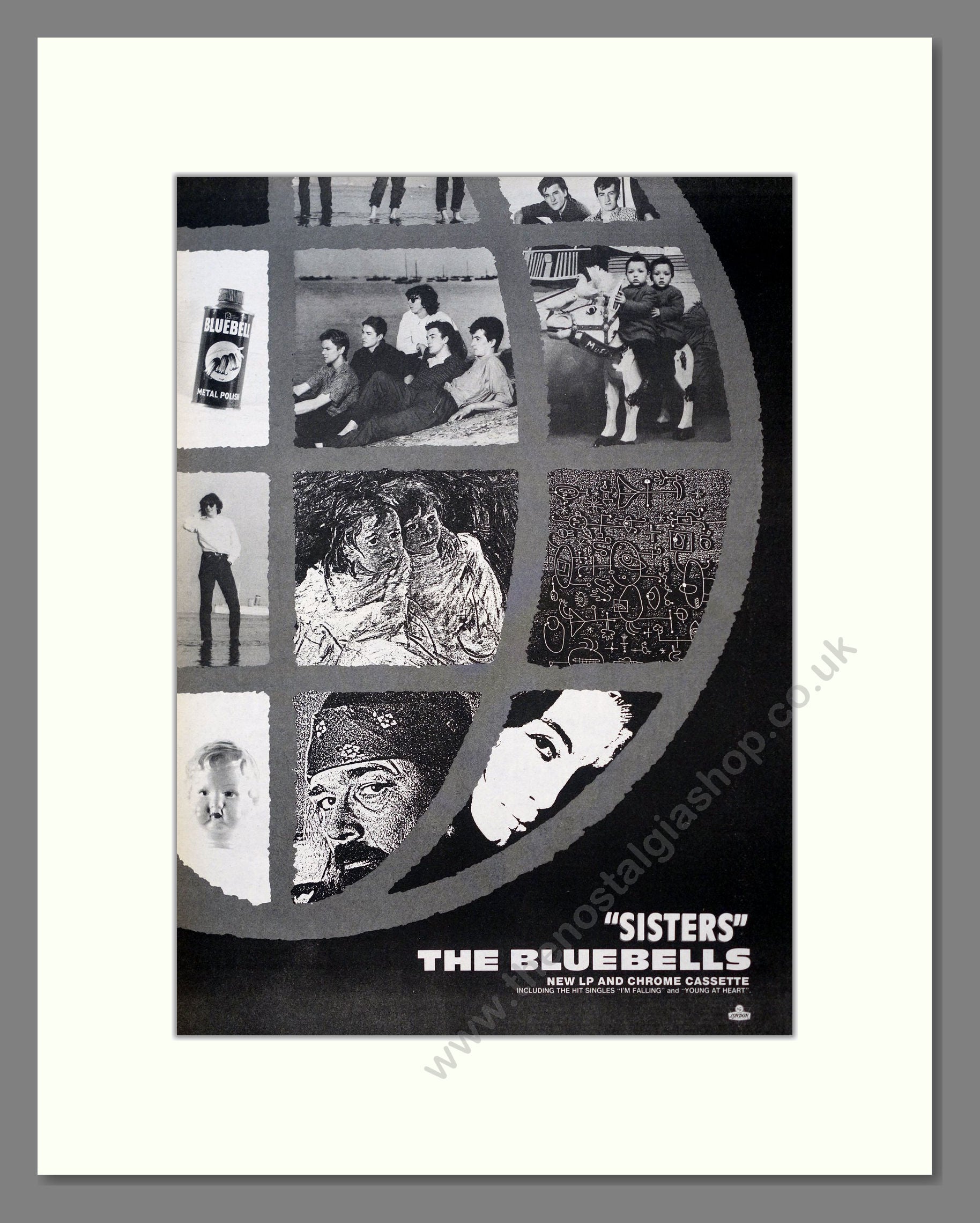 Bluebells (The) - Sisters. Vintage Advert 1984 (ref AD18765) – The ...