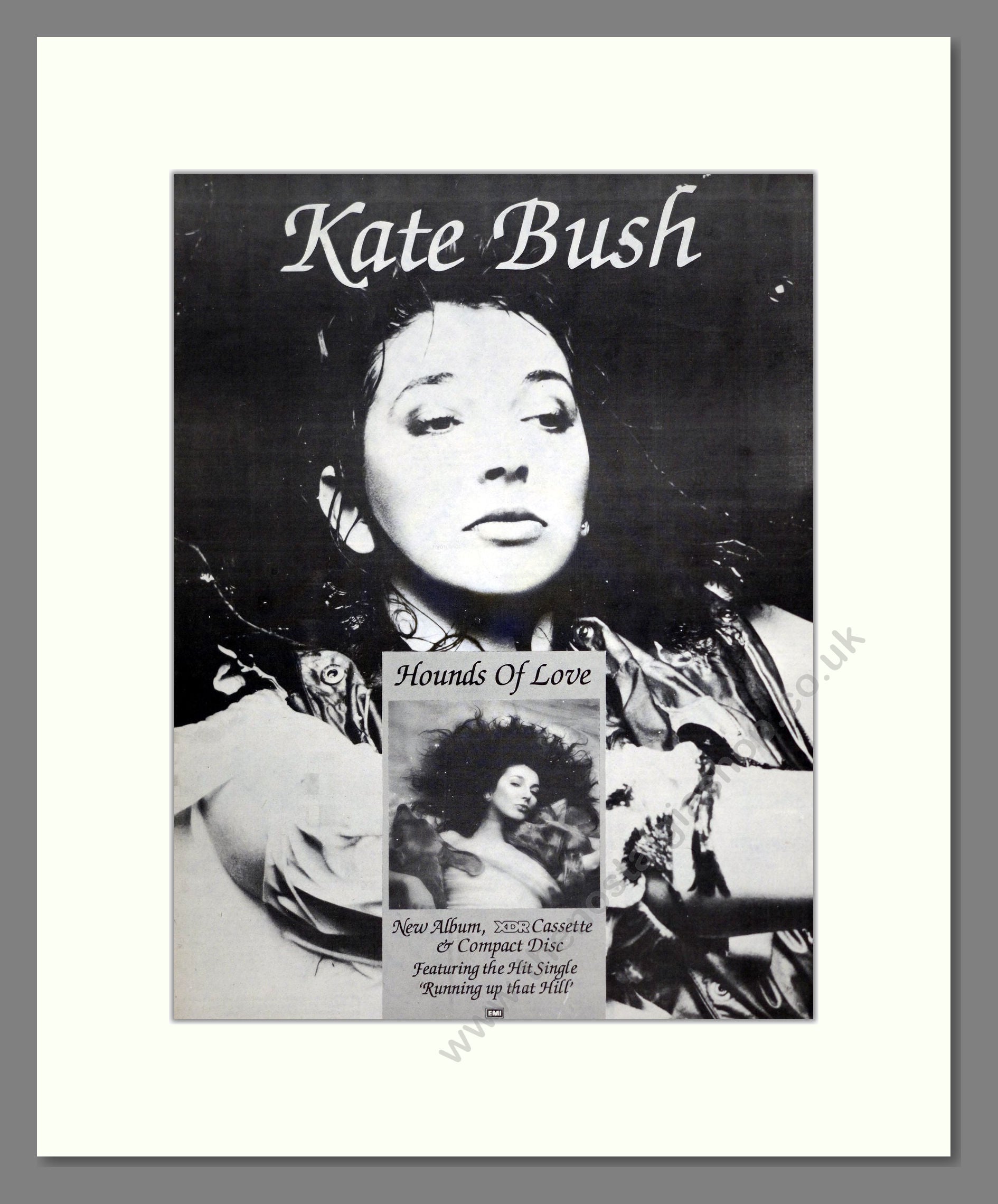 Kate Bush - Hounds Of Love. Vintage Advert 1985 (ref AD20066) – The ...
