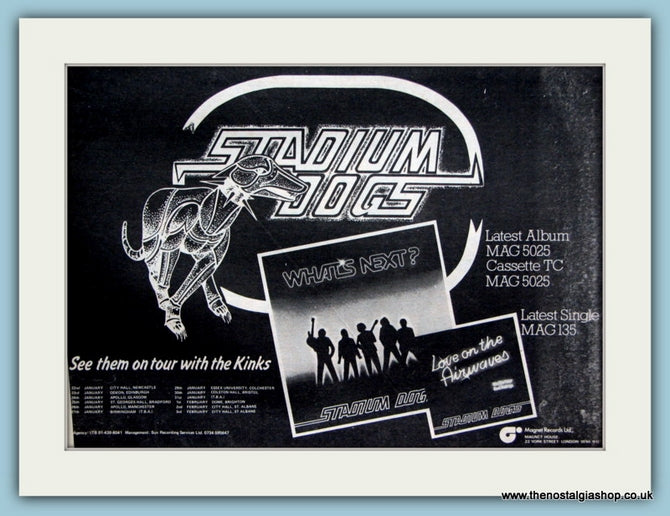 Stadium Dogs Whats Next Original Advert 1979 (ref AD2107) – The ...