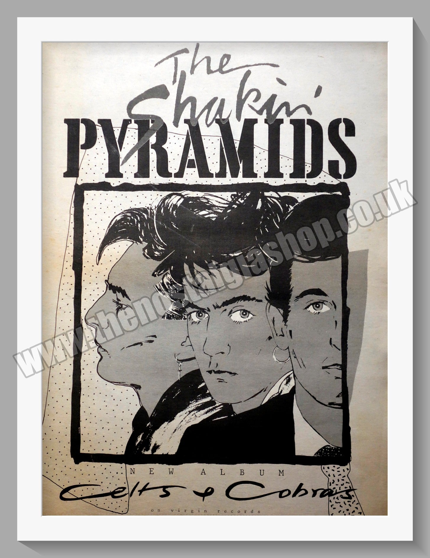 Shakin' Pyramids (The) Celts And Cobras. Original Advert 1982 (ref AD1 ...