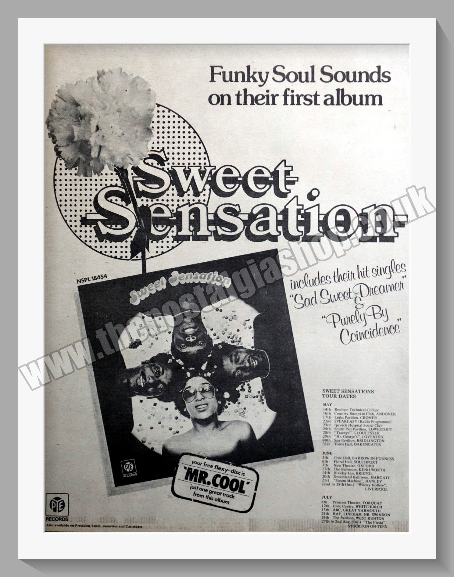 Sweet Sensation Tour Dates. Original Advert 1975 (ref AD14959) – The ...