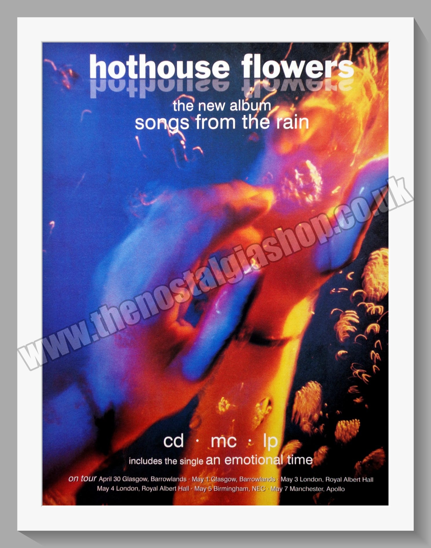 Hothouse Flowers. Songs From The Rain. Original Vintage Advert 1993 (r – The Nostalgia Shop