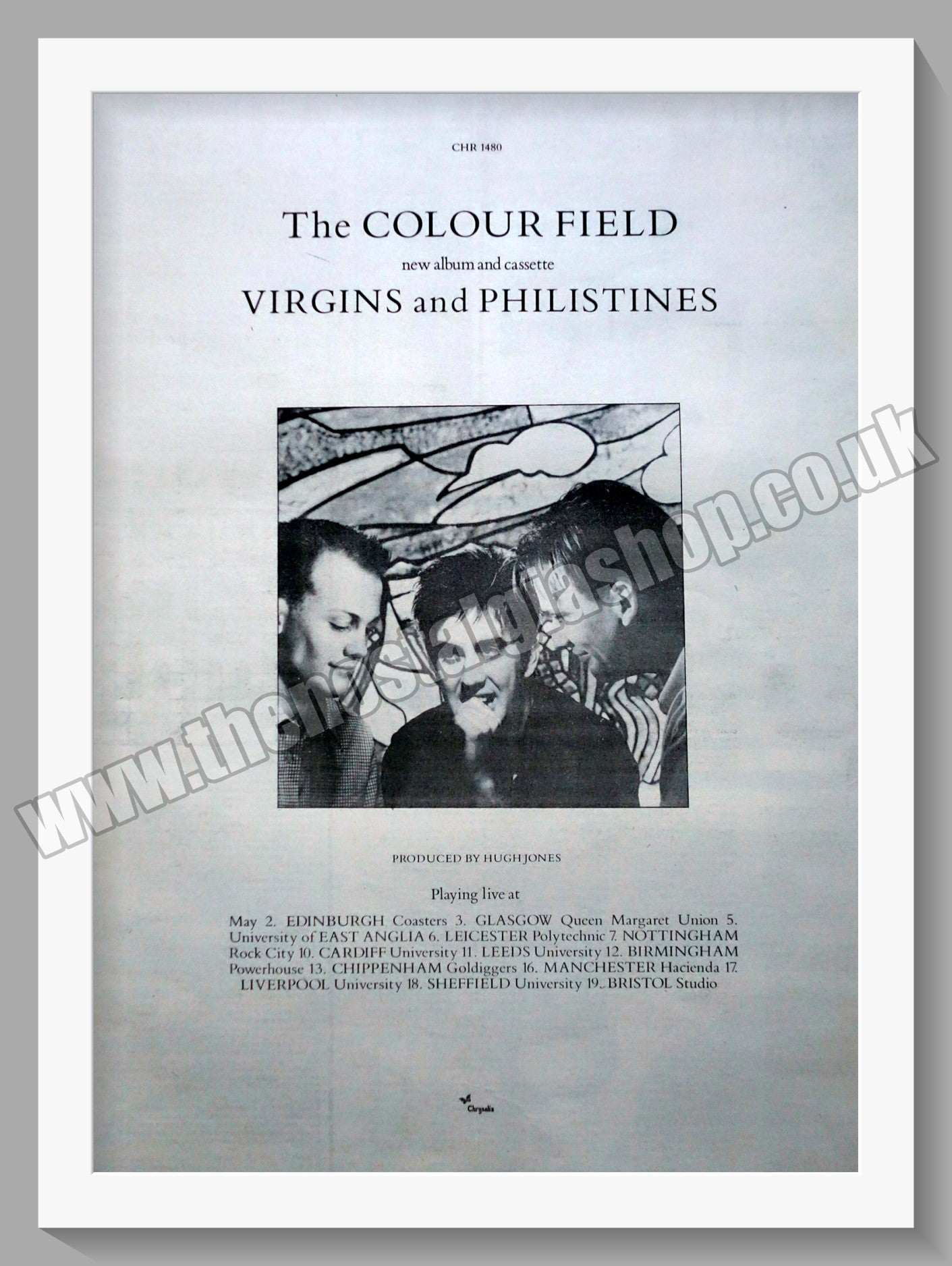 Colour Field (The) Virgins And Philistines.1985 Large Original Advert ...