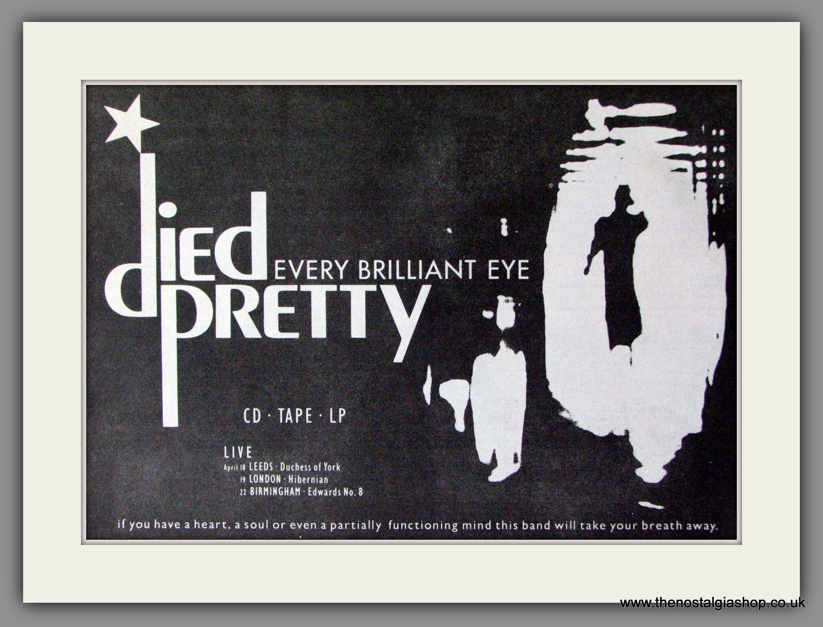 Died Pretty, Every Brilliant Eye. Original Advert 1990 (ref AD53479 ...