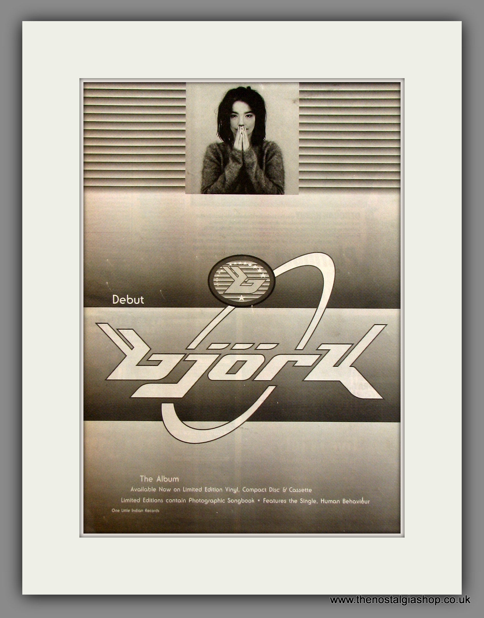 Bjork Post Poster