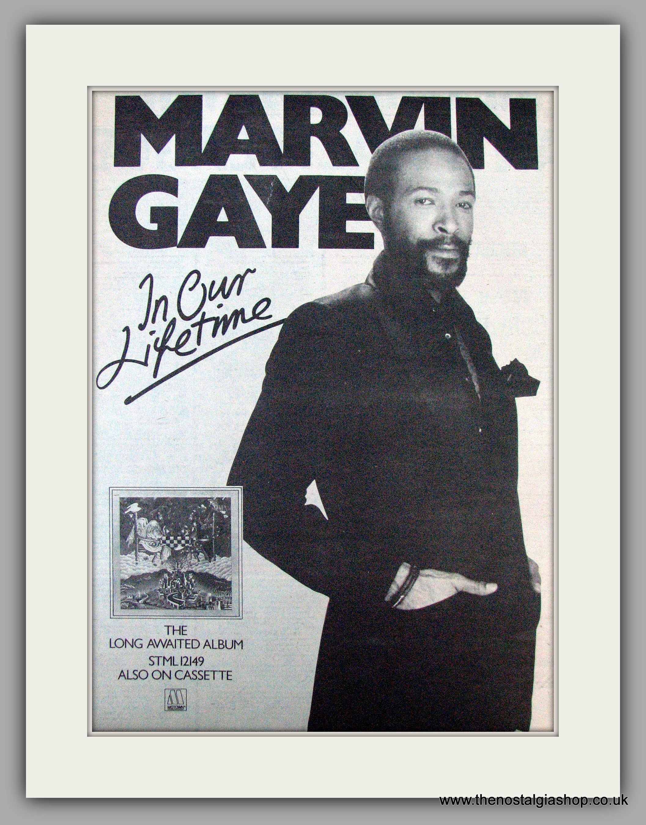 Marvin Gaye In Our Lifetime