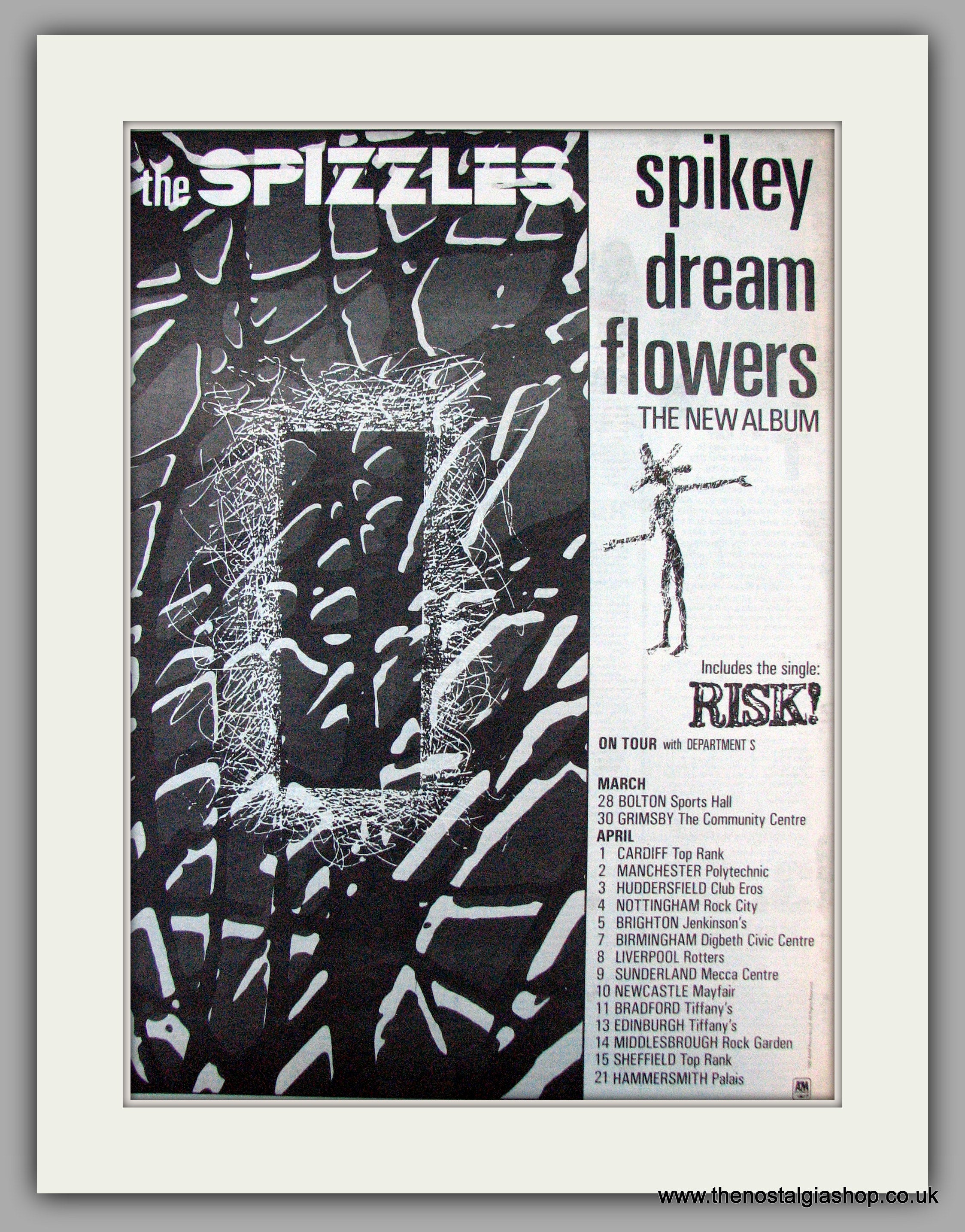 Spizzles (The) Spikey Dream Flowers. Vintage Advert 1981 (ref AD9804 ...