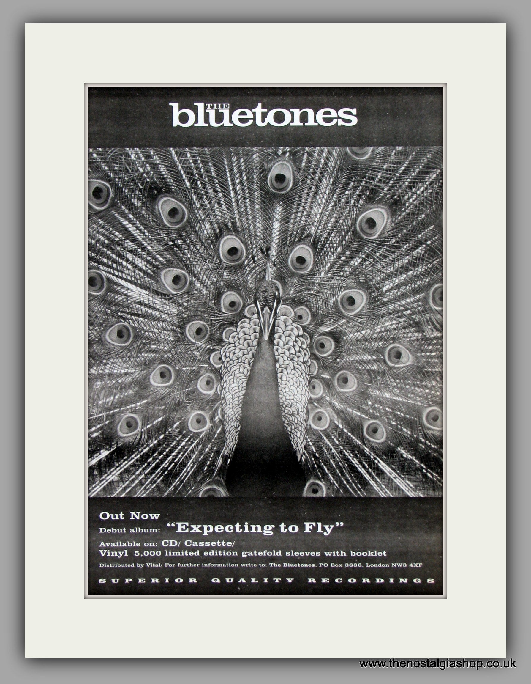 Bluetones (The) Expecting To Fly. Original Vintage Advert 1996 (ref AD ...