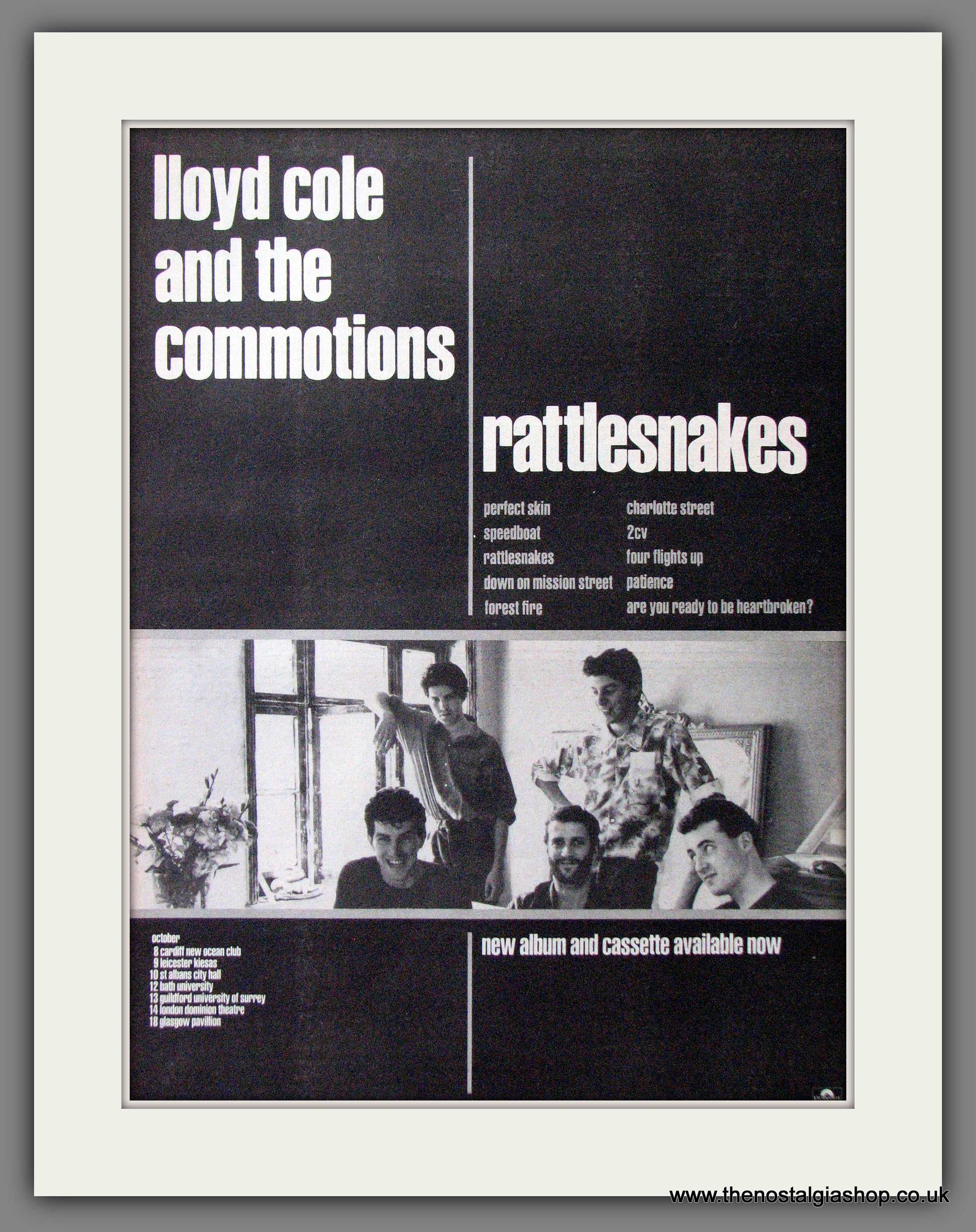 Lloyd Cole And The Commotions Rattlesnakes. Original Advert 1984 (ref ...
