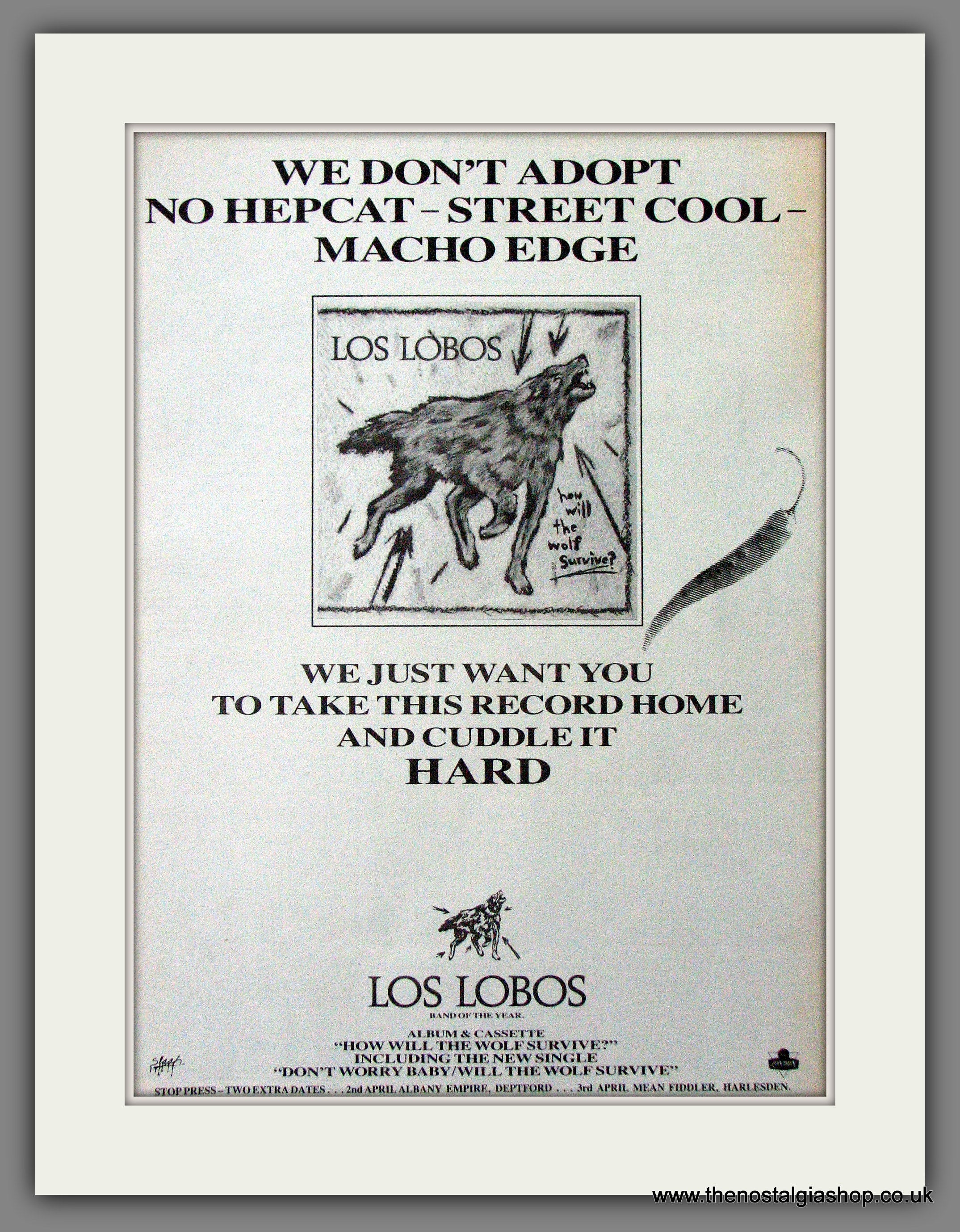 Los Lobos How Will The Wolf Survive. Original Advert 1985 (ref AD12677 ...