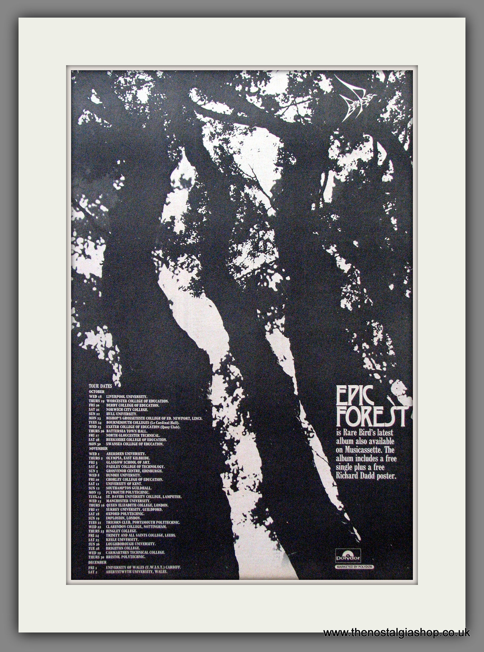 Rare Bird Epic Forest. Original Advert 1972 (ref AD12784) – The ...