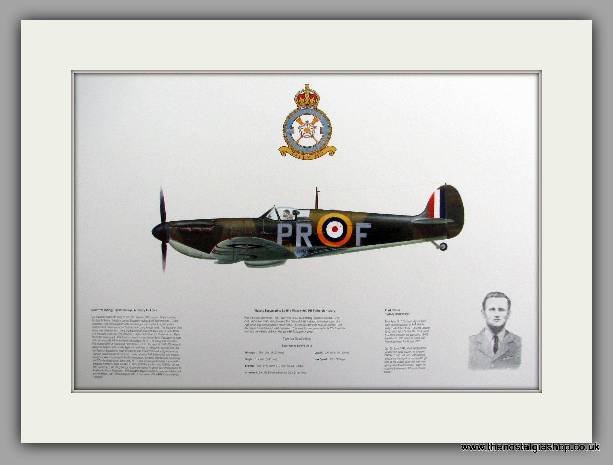 Spitfire Mk Ia No.X4590 PR-F. Mounted Aircraft print (ref AP001) – The ...