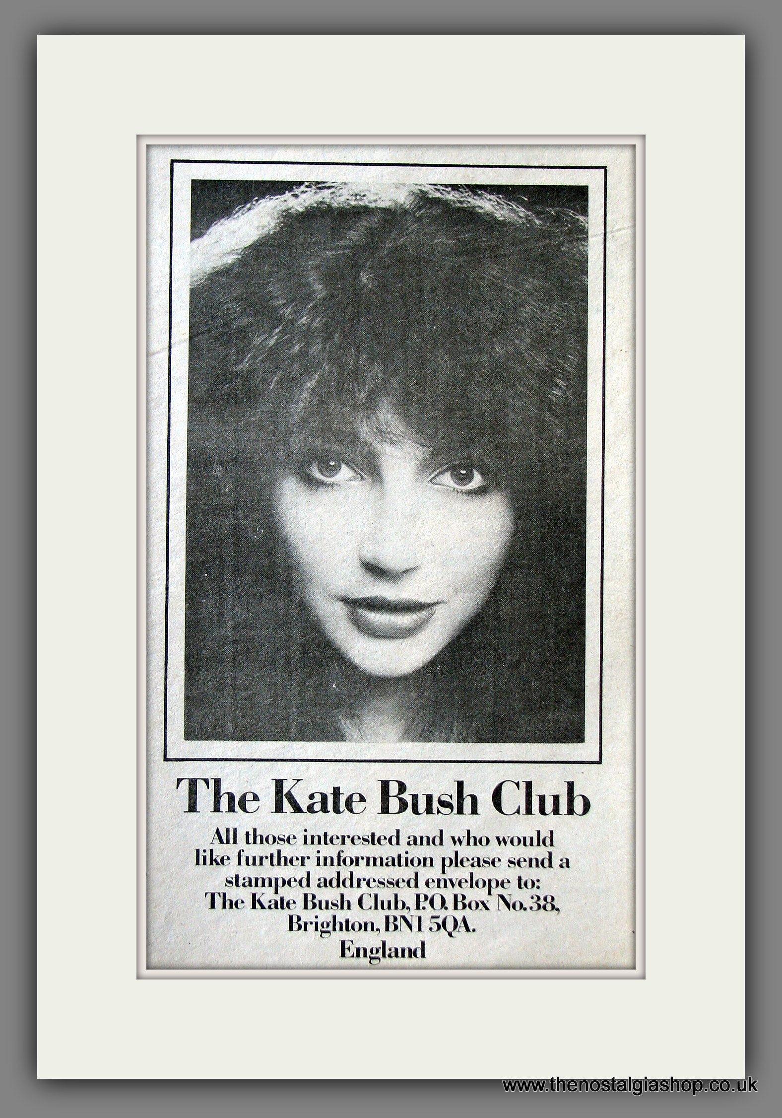 Kate Bush Club. Original Music Advert 1978 (ref AD55500) – The ...