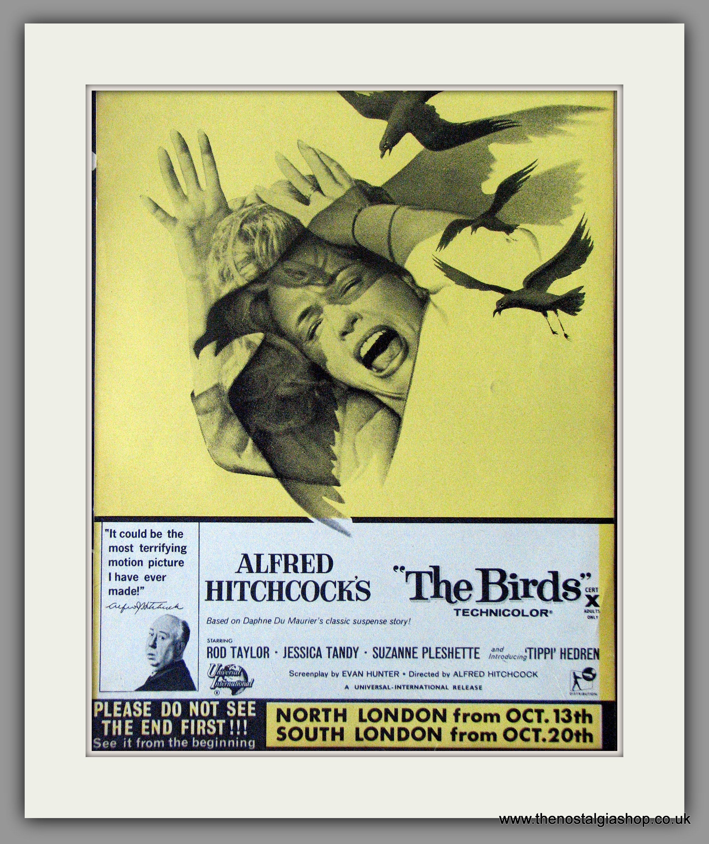 Birds (The) Alfred Hitchcock. Original Advert 1963 (ref AD50567) – The ...