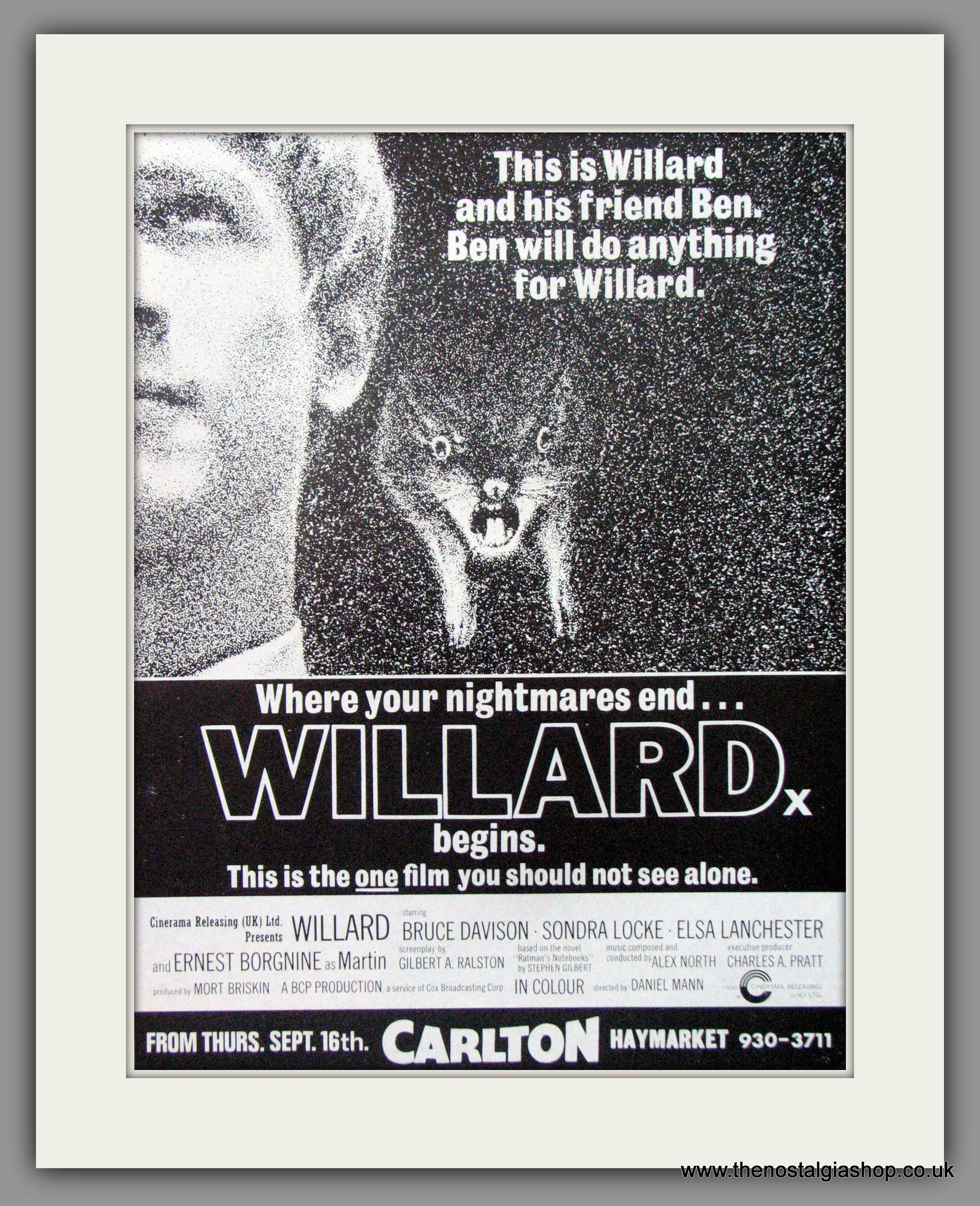 Willard. Original Advert 1971 (ref AD52187) – The Nostalgia Shop