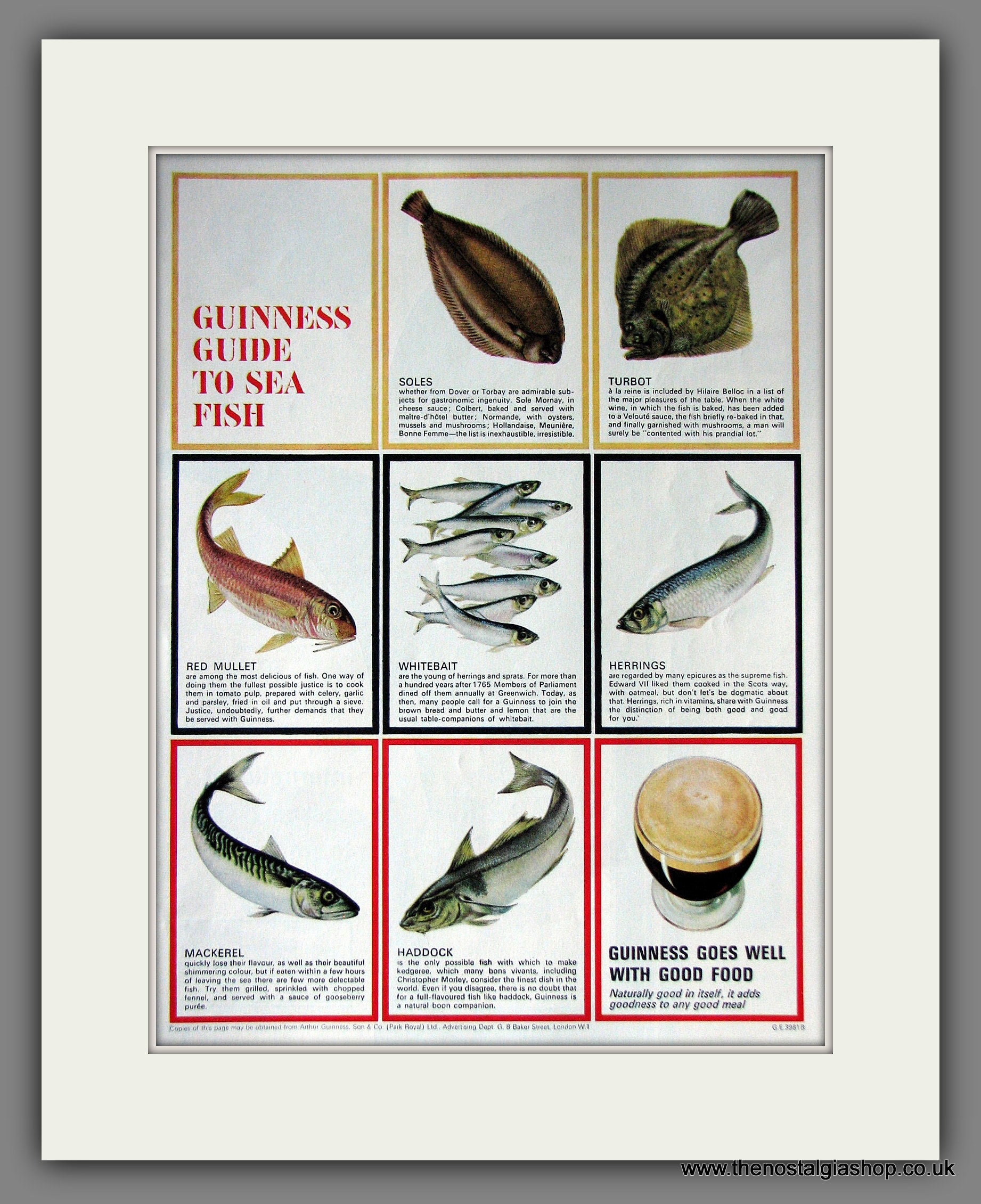 Guinness Guide To Sea Fish. 1965 Original Advert (ref AD56323) – The ...