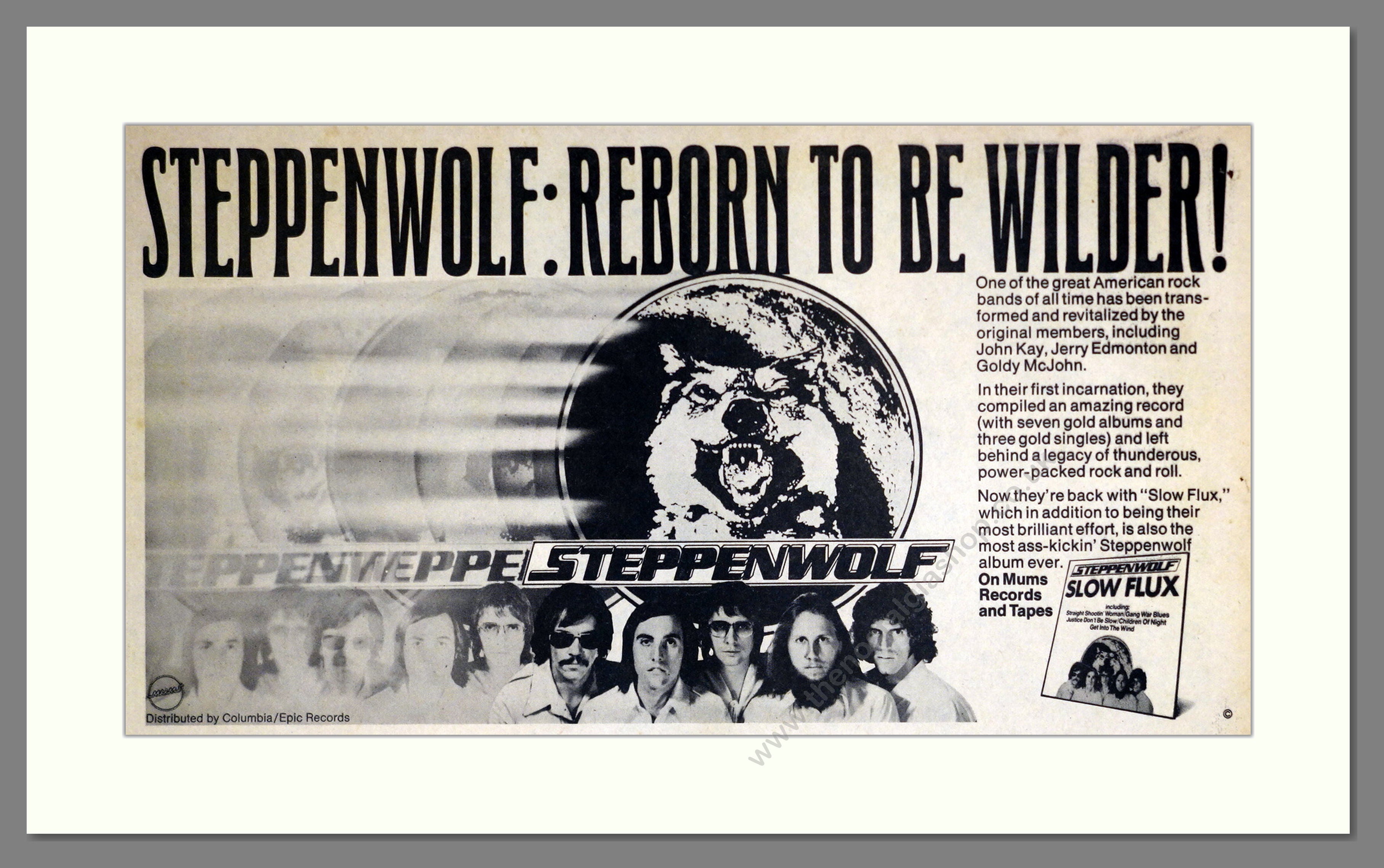 Steppenwolf - Reborn To Be Wilder. Vintage Advert 1974 (ref AD301910) – The Nostalgia Shop