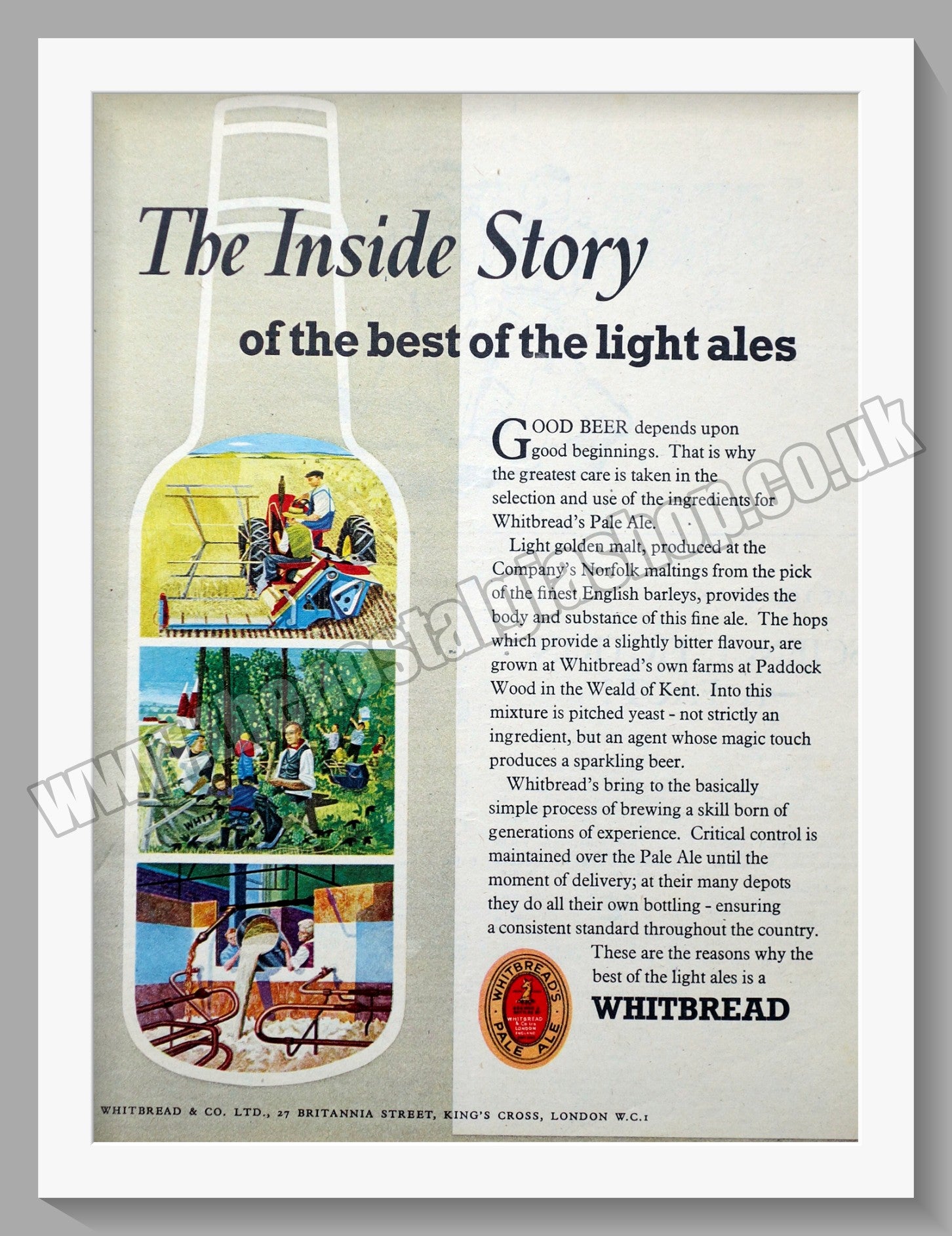 Whitbread Pale Ale. Original Advert 1953 (ref AD300176) – The Nostalgia ...