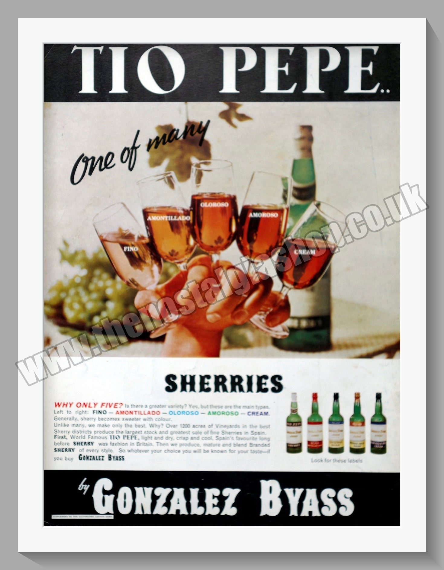 Gonzalez Byass. Tio Pepe Sherry. Original Advert 1967 (ref AD300239 ...