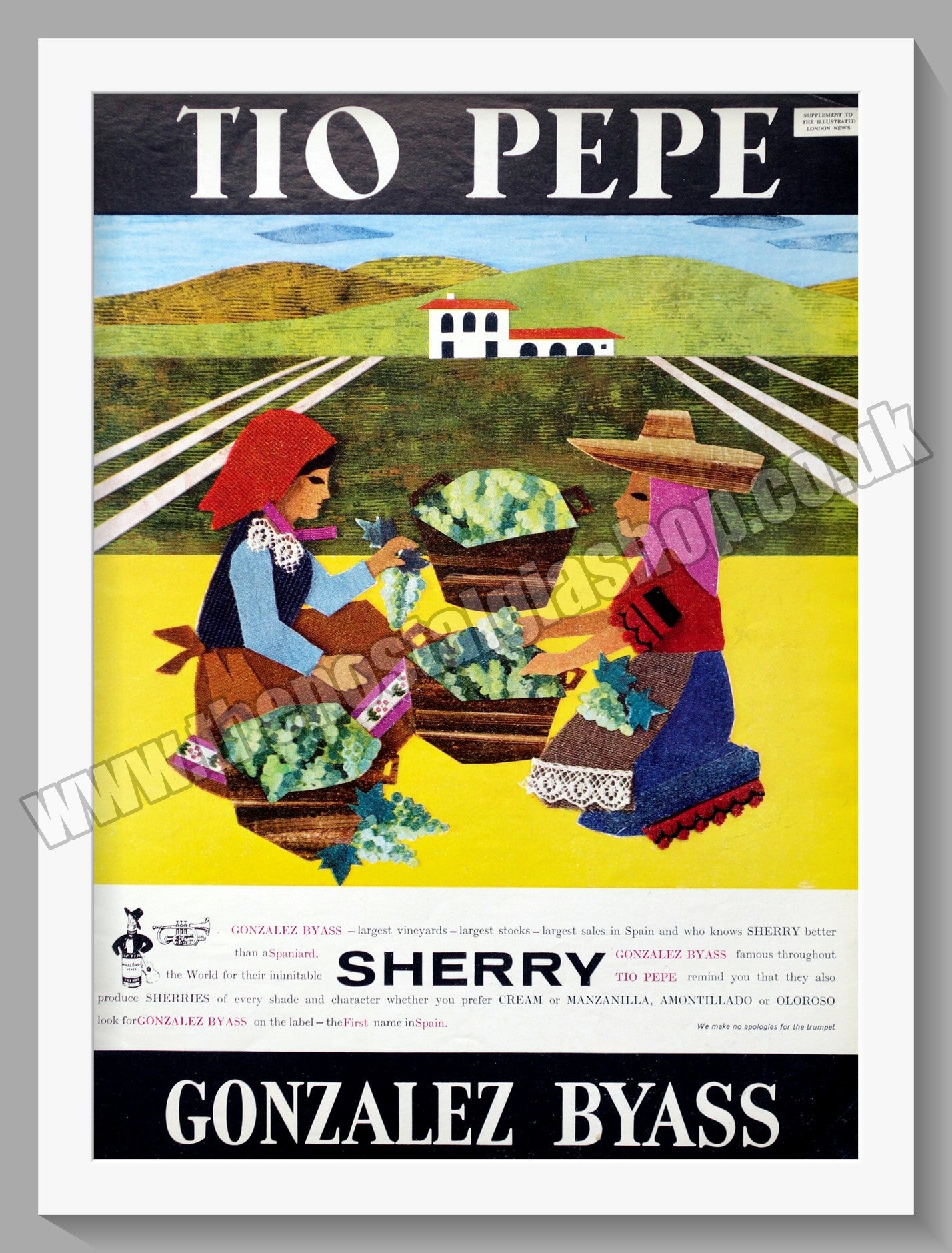 Gonzalez Byass. Tio Pepe Sherry. Original Advert 1964 (ref AD300242 ...