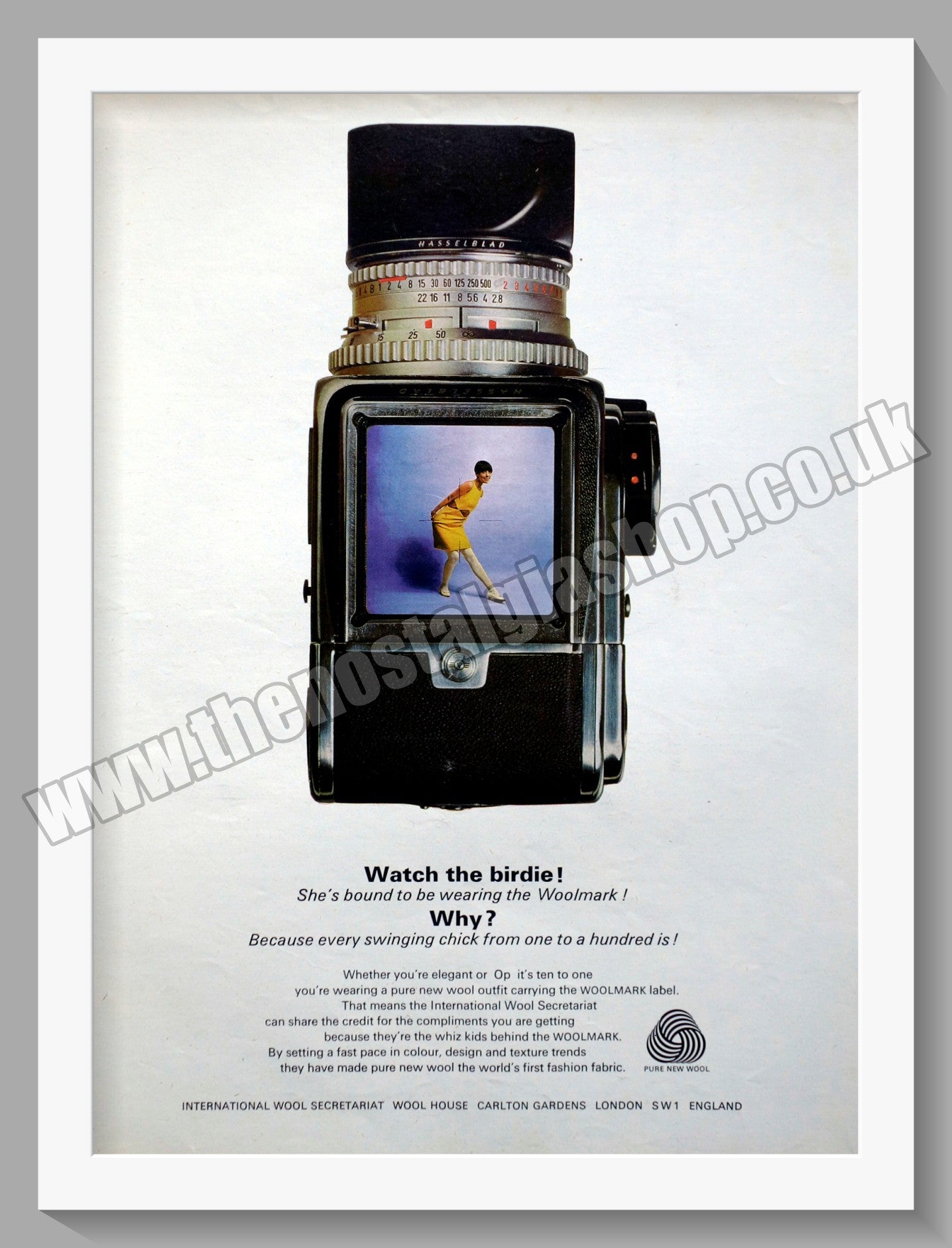 Hasselblad 500 C Camera. Wool Advert. Original Advert 1966 (ref AD3003 ...